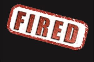 Amy Cooper has been fired from her job following racism outrage - DNB ...