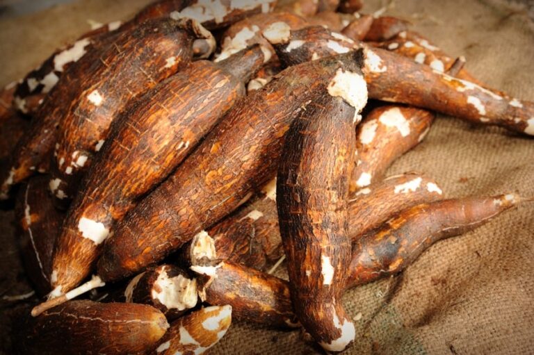 Interesting details about the massive Agulu Lake in Anambra State - DNB ...