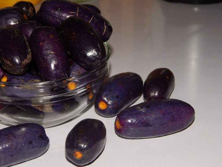 Igbo names of different Nigerian fruits - DNB Stories Africa