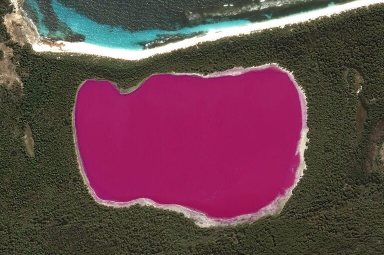 Scientists cannot explain why this Indian lake turned pink - DNB ...