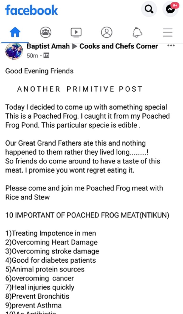 Nigerian man shares pictures of himself eating frog meat online - DNB ...