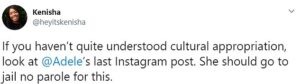 Picture of Adele wearing African Bantu knots stirs controversy - DNB ...