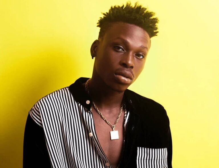 Listen to Fireboy's new song 'Spell' ft. Wande Coal - DNB Stories Africa