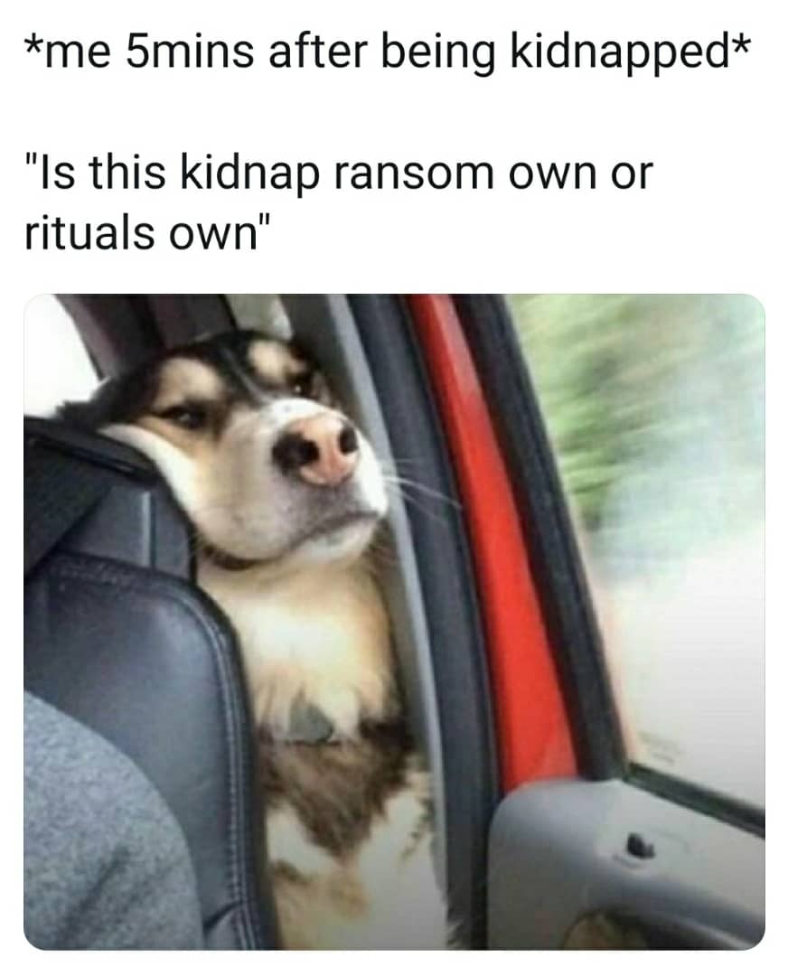 These hilarious '5 minutes into my kidnap' memes will totally crack you ...