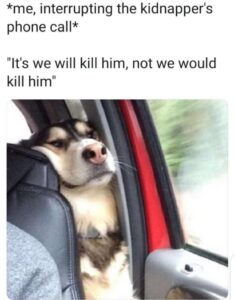 These hilarious '5 minutes into my kidnap' memes will totally crack you ...
