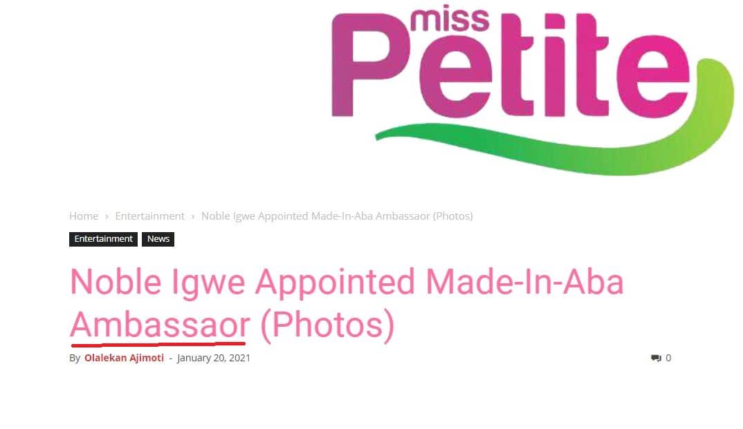 Nigerian blogs that copy content from Linda Ikeji - DNB Stories Africa