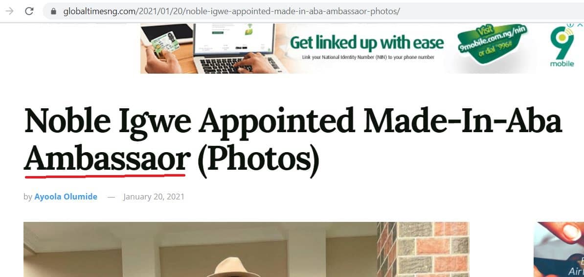 Nigerian blogs that copy content from Linda Ikeji - DNB Stories Africa