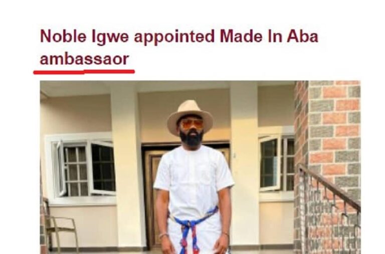 Nigerian blogs that copy content from Linda Ikeji - DNB Stories Africa