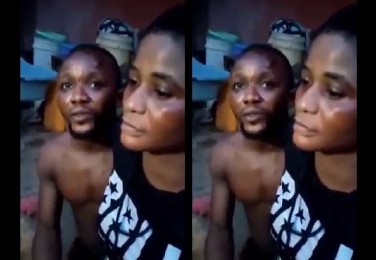 All about the Nigerian local dog breeds called Ekuke or Bingo - DNB ...