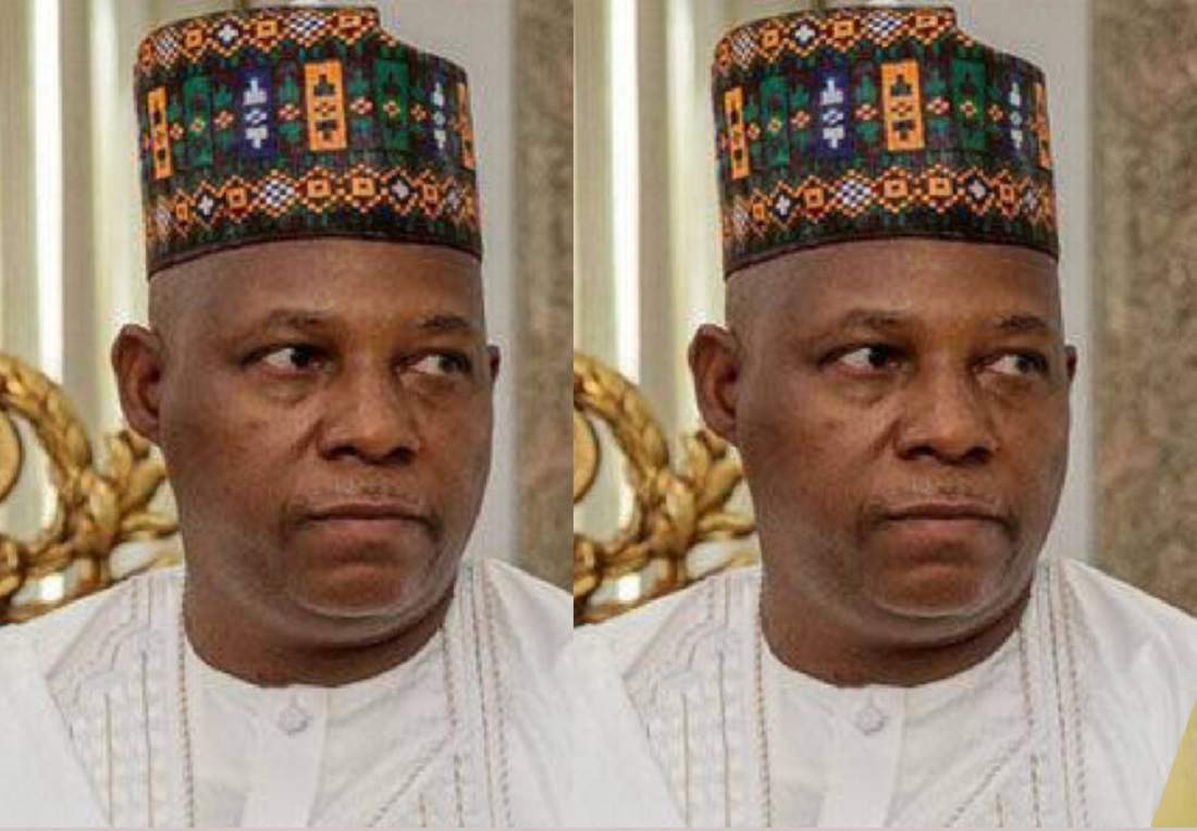 Kashim Shettima Biography: Age, Marriage, Wife, Children - DNB Stories ...