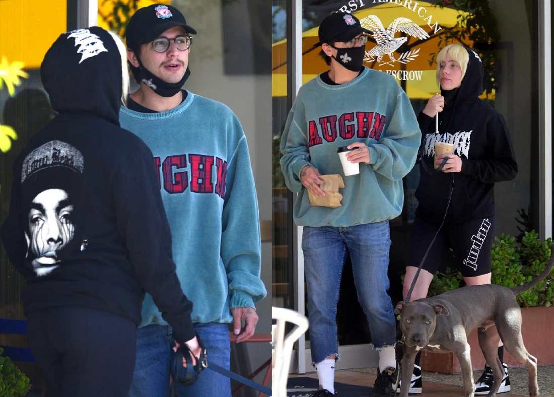 Billie Eilish Bio: Age, Family, Parents, Marriage, Kids, Net Worth ...