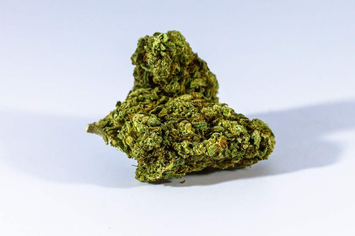 How IT is Fueling the Budding Cannabis Industry - DNB Stories Africa