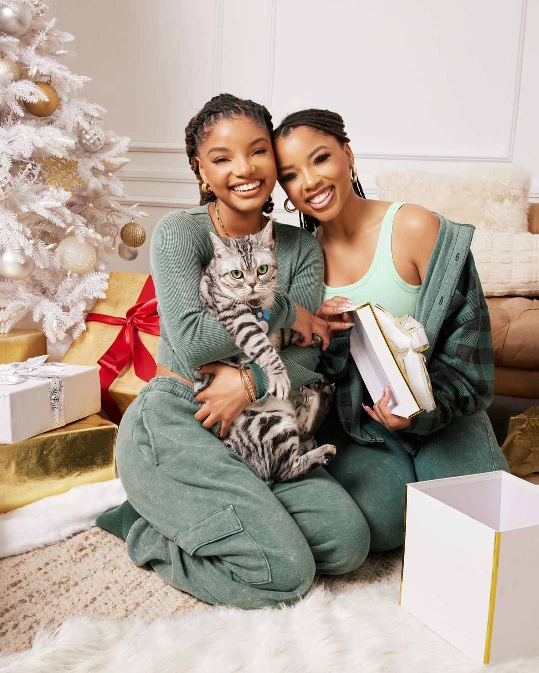 Halle Bailey Bio: Age, Career, Family, Marriage, Boyfriend, Net Worth ...