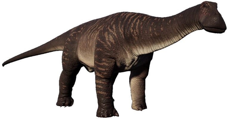 Everything about Nigersaurus: Dinosaur with 500 teeth - DNB Stories Africa